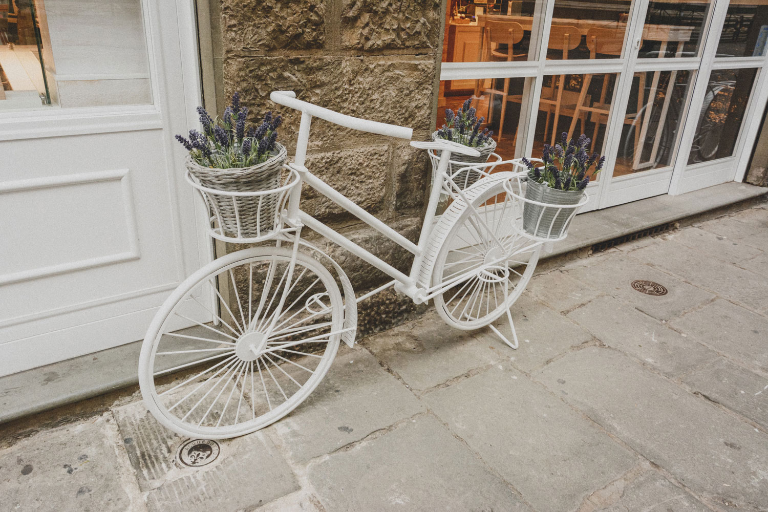 The Legacy of the Arte della Seta – Gold Colored Fox