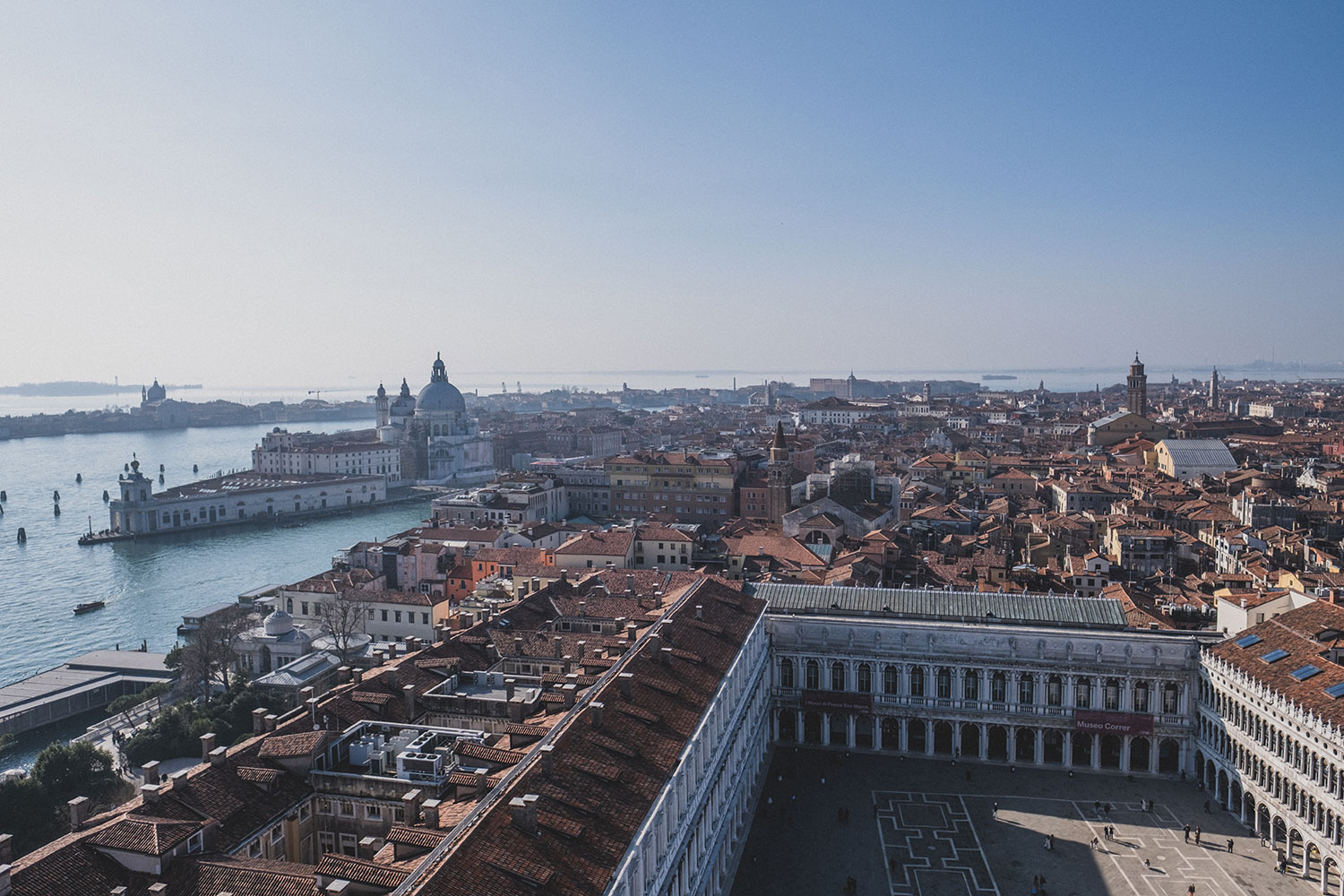Venice City Guide – Gold Colored Fox